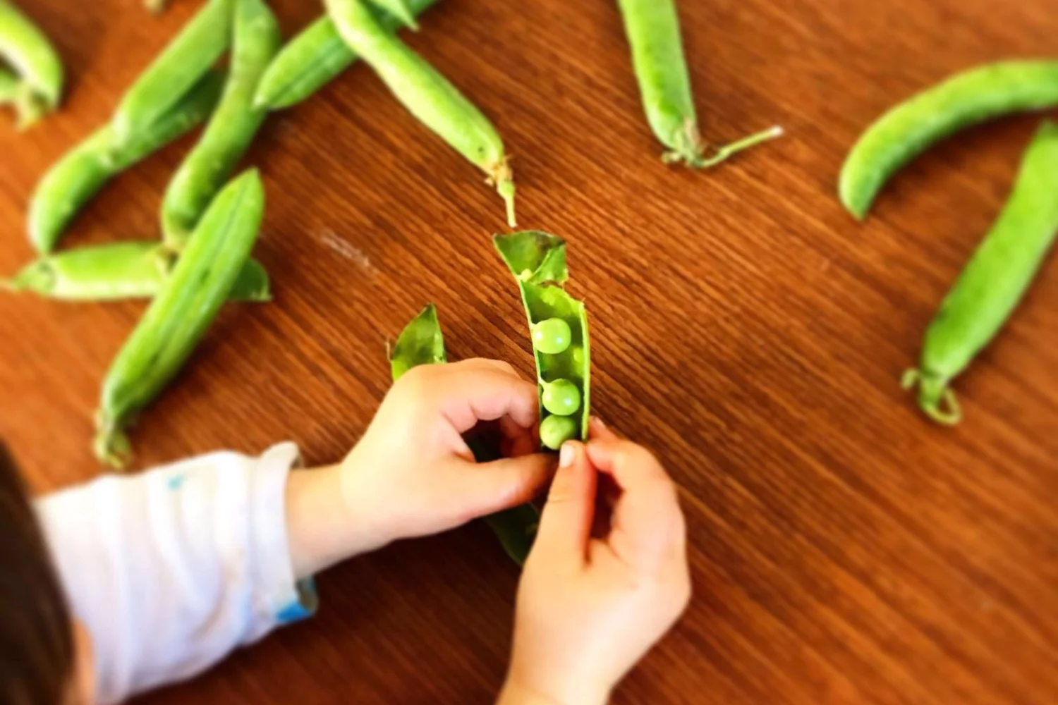 Little Forest Folk | Our Food | Forest School