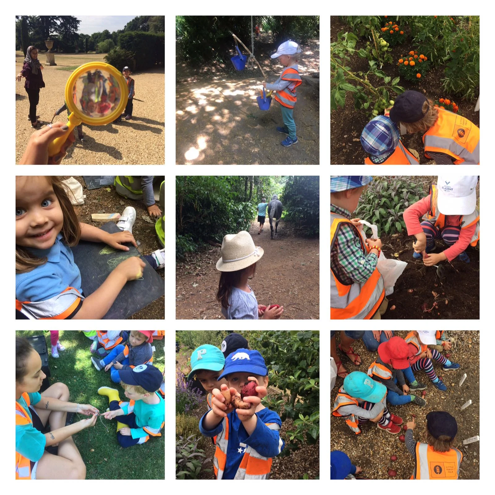 Little Forest Folk | Chiswick - Number games! | Forest School