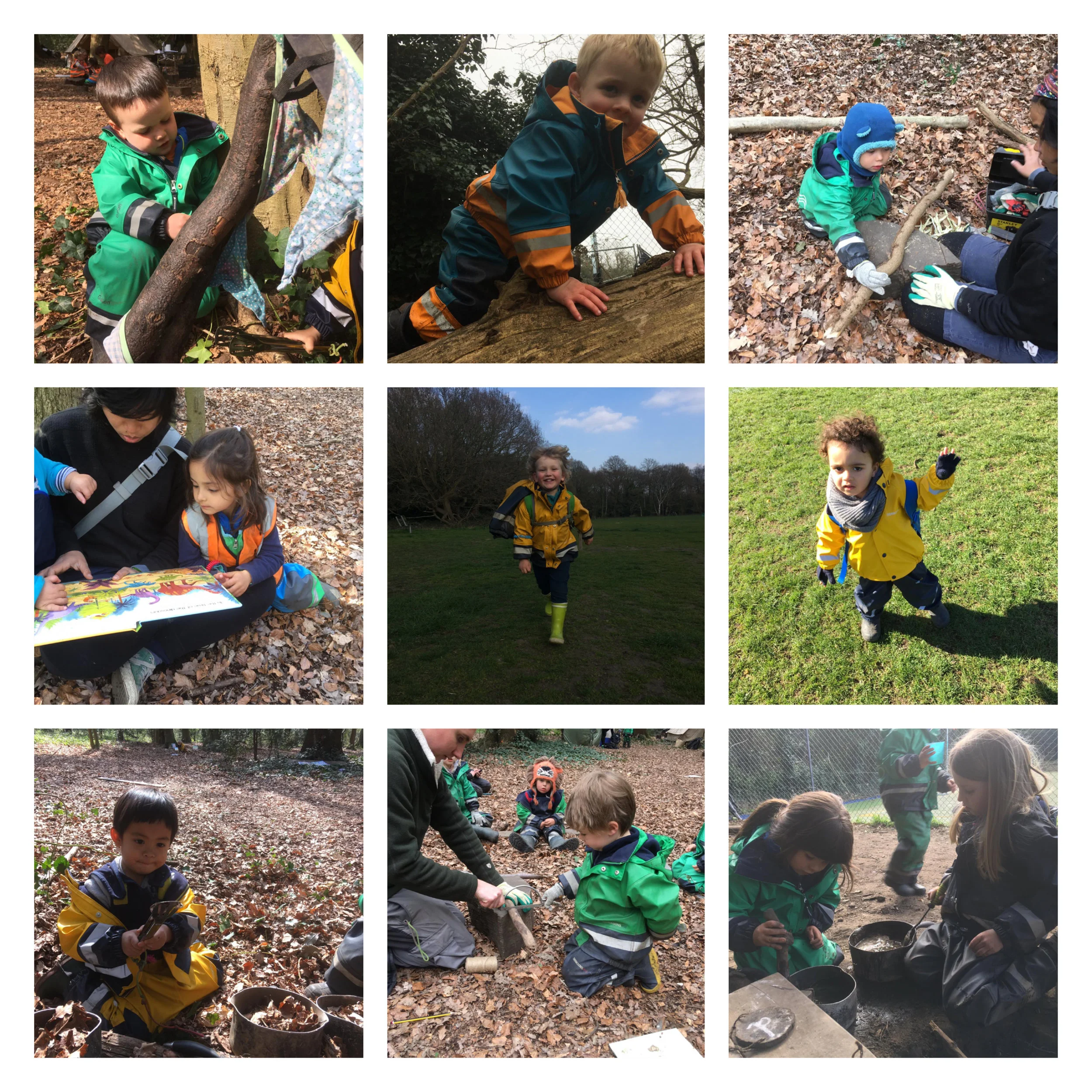 Little Forest Folk | Barnes - Honey bees | Forest School
