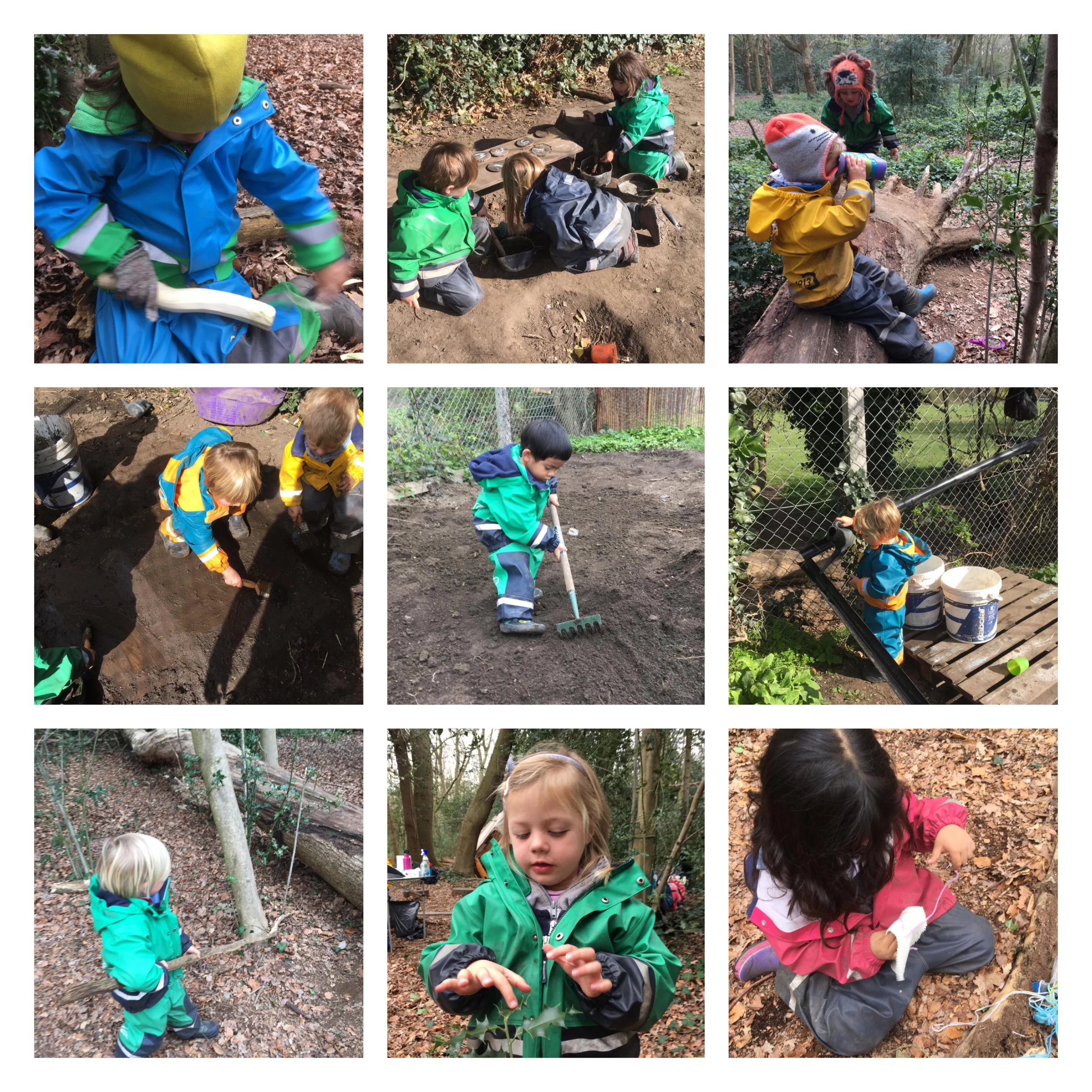 Little Forest Folk | Barnes - Honey bees | Forest School