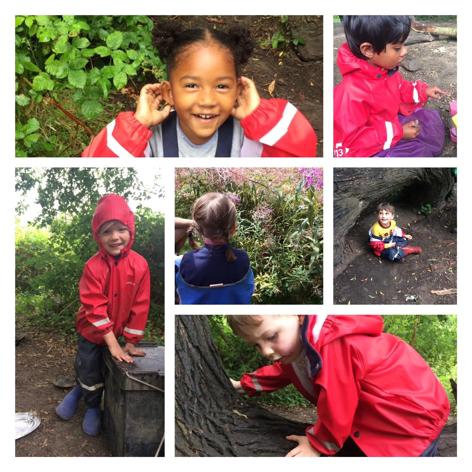 Little Forest Folk | Wimbledon - joy, learning and friendship! | Forest ...