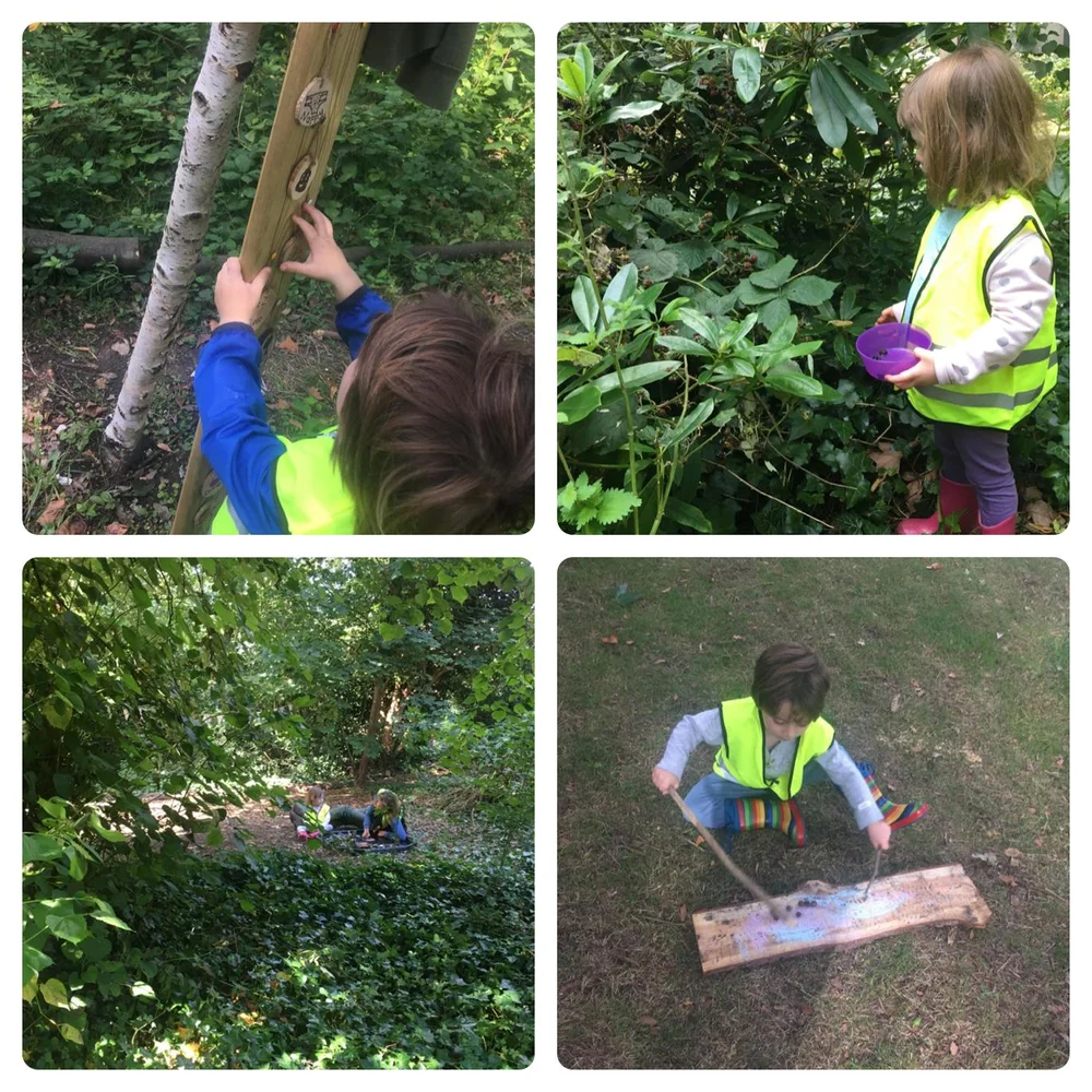 Little Forest Folk | Twickenham - Playful curiosity | Forest School