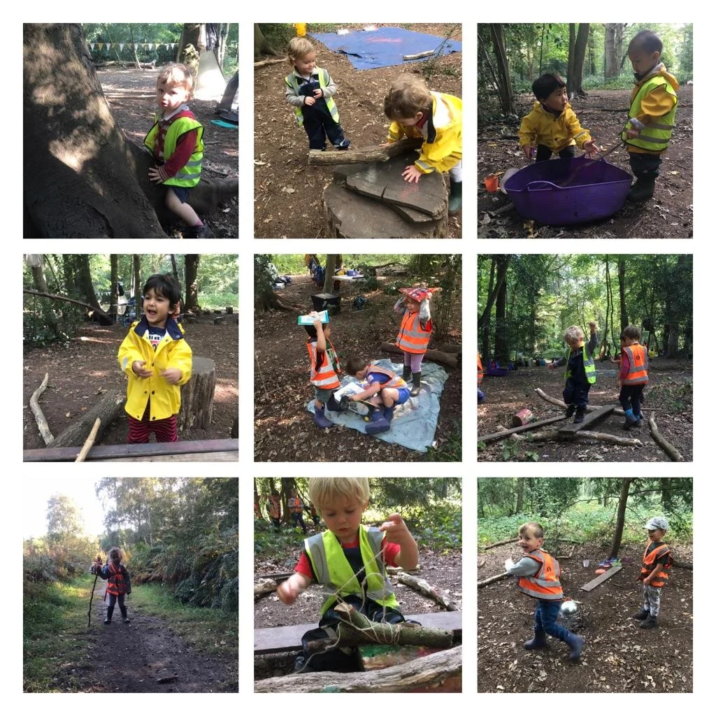 Little Forest Folk | Putney Heath - Environmental changes | Forest School