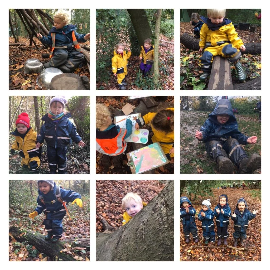 Little Forest Folk | Putney Heath - Leaves, Leaves, and more leaves ...