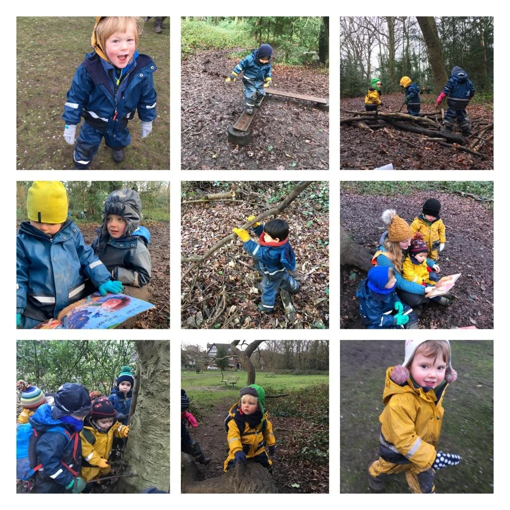 Little Forest Folk | Putney Heath - Birthday Bonanza! | Forest School