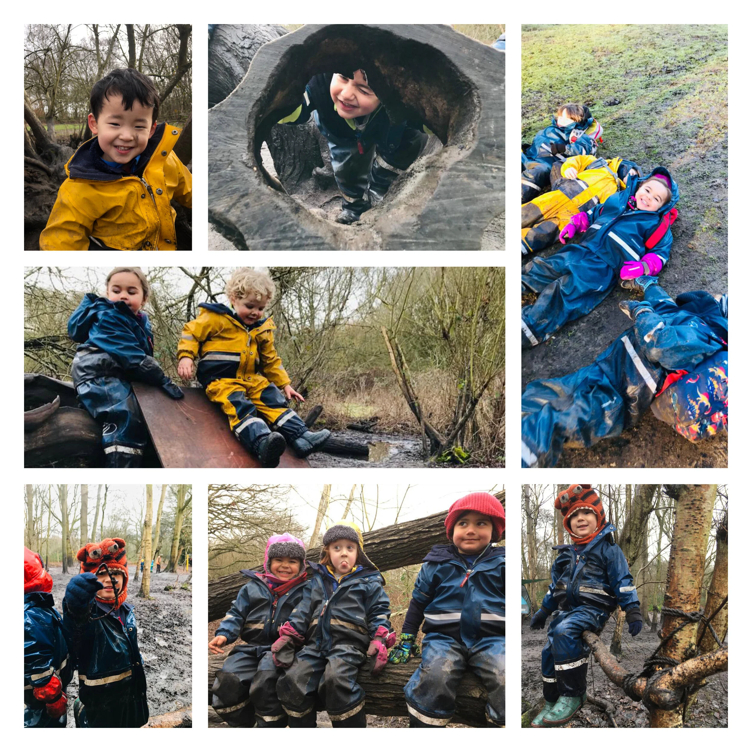 Little Forest Folk | Wimbledon - Learning opportunities | Forest School
