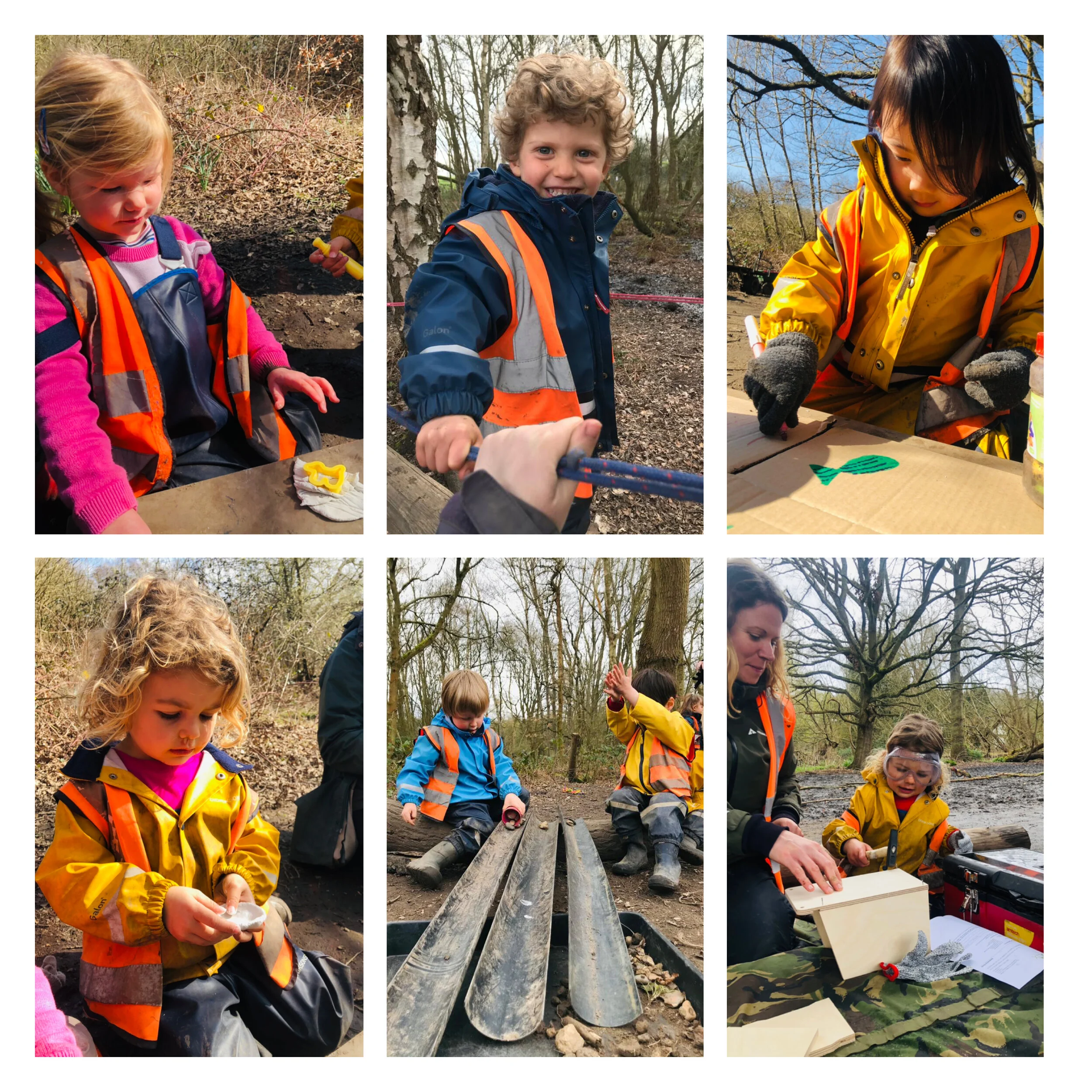 Little Forest Folk | Wimbledon - Life of a frog | Forest School