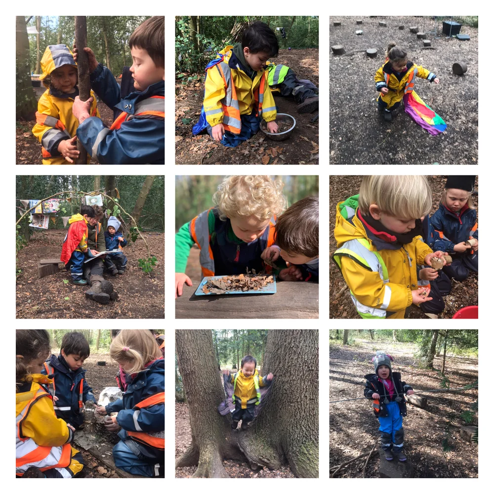 Little Forest Folk | Putney Heath - Volcanoes | Forest School