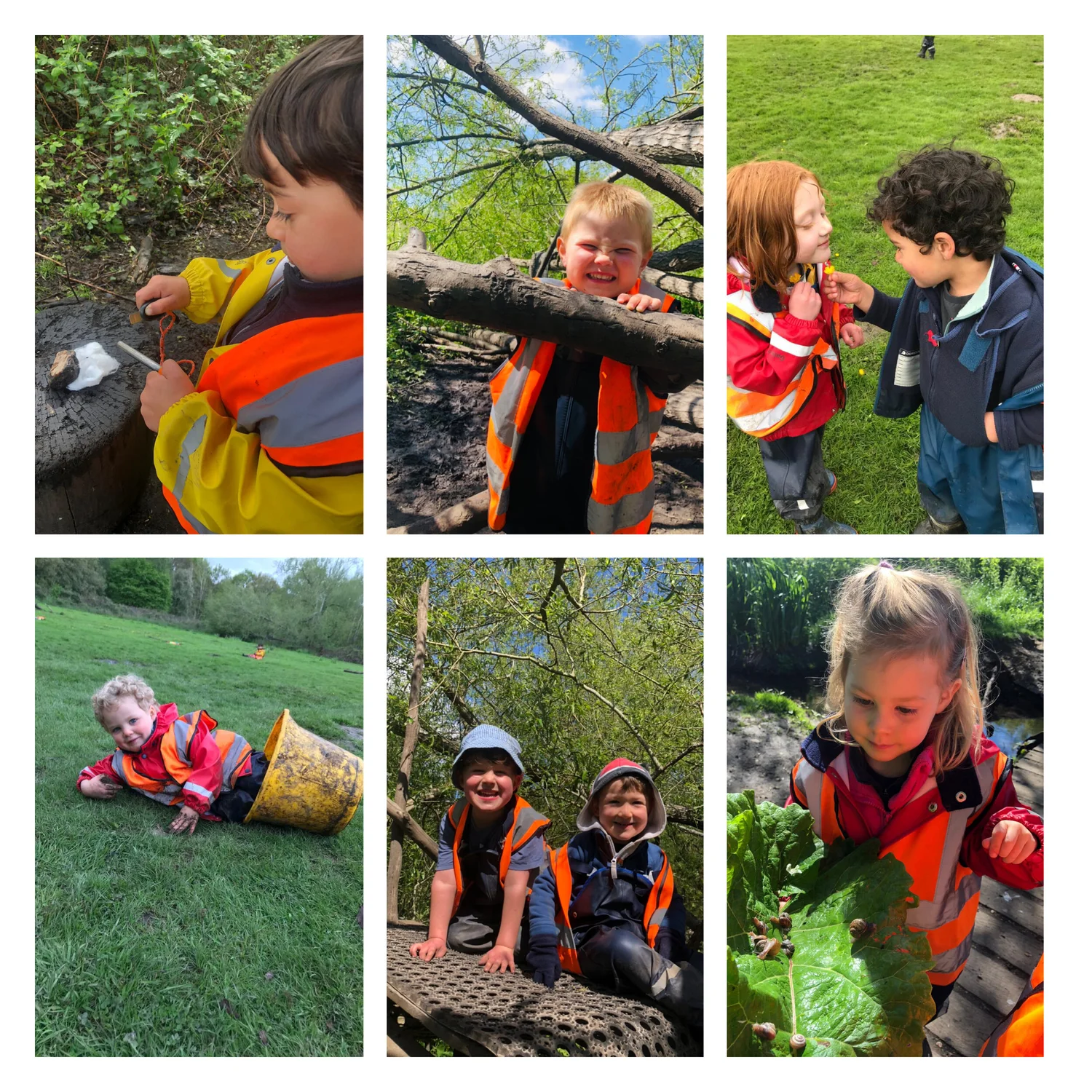 Little Forest Folk | Wimbledon - Slugs, snails and caterpillar trails ...