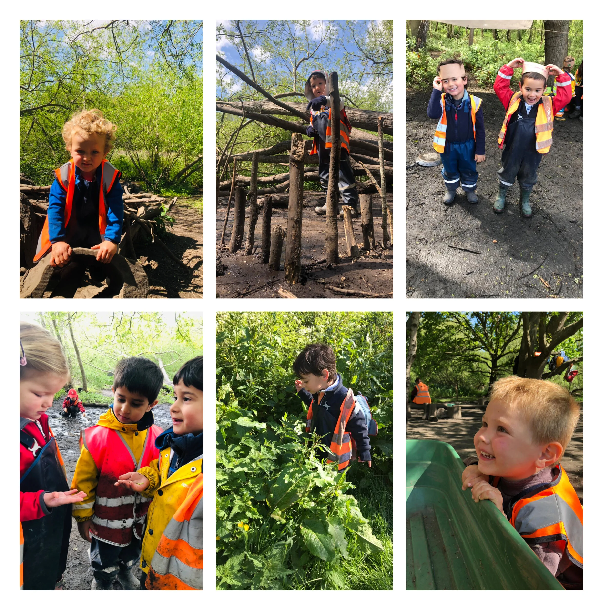 Little Forest Folk | Wimbledon - Slugs, snails and caterpillar trails ...