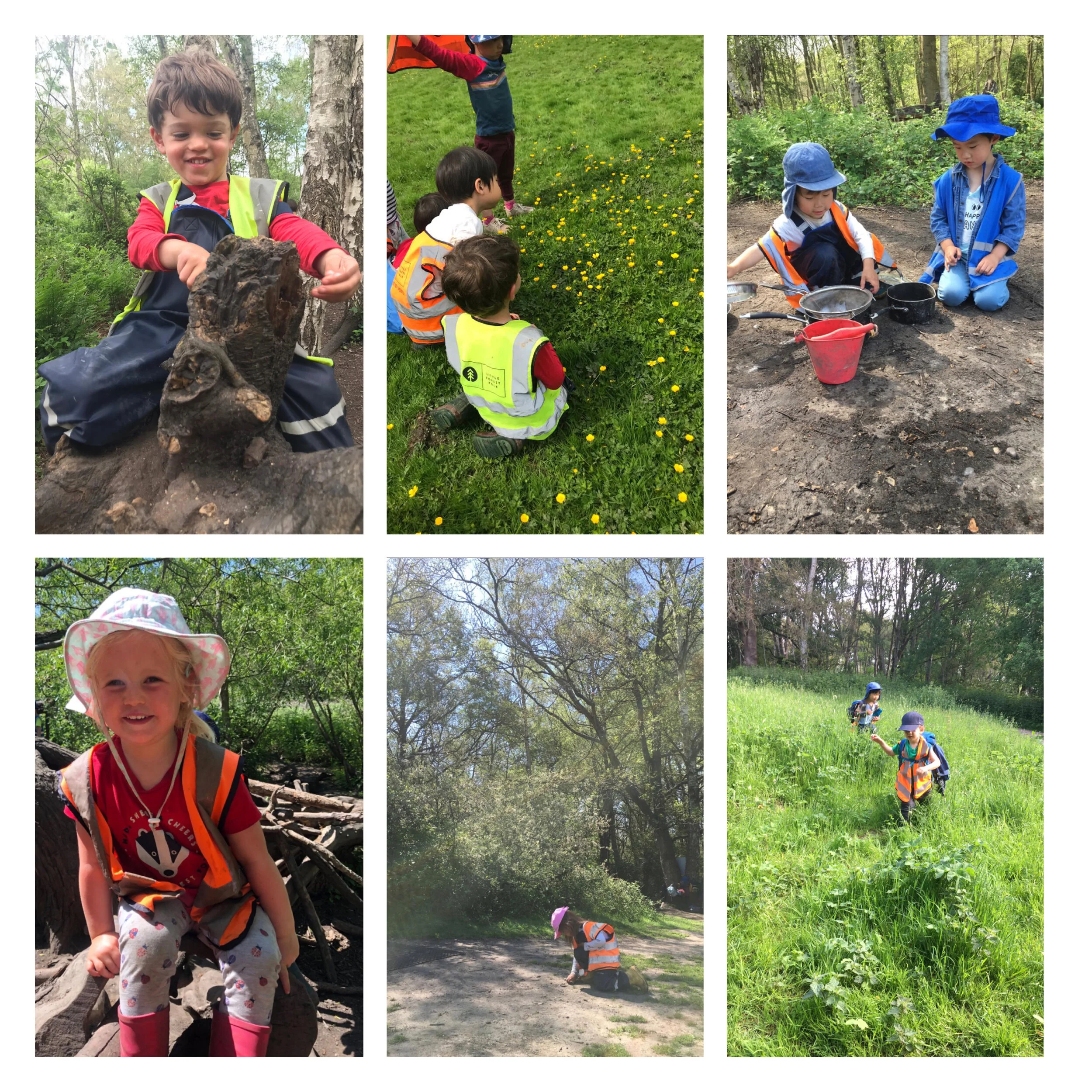 Little Forest Folk | Wimbledon - Yellow buzzing bees | Forest School