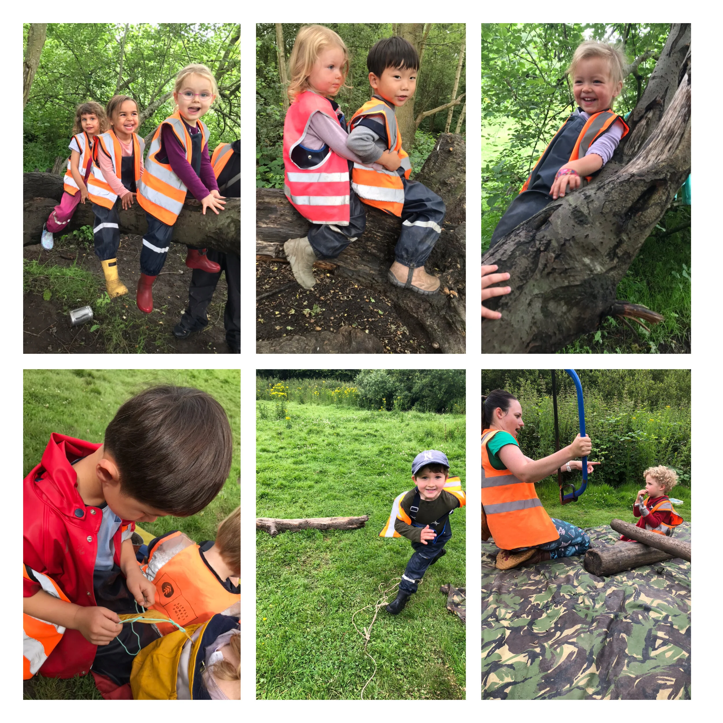 Little Forest Folk | Wimbledon - See how our forest grows! | Forest School