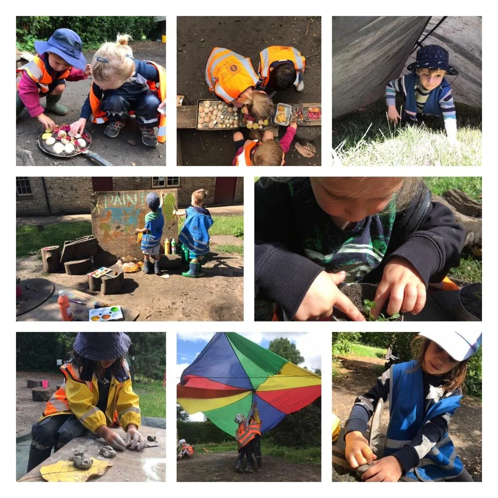 Little Forest Folk | Fulham - certificates and tree cookies | Forest School