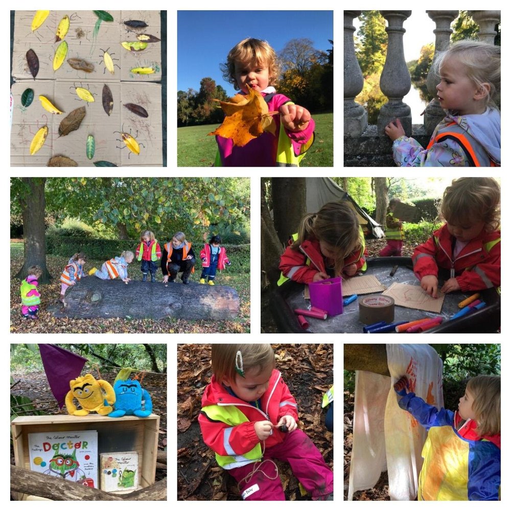 Little Forest Folk | Chiswick - Counting Pumpkins! | Forest School