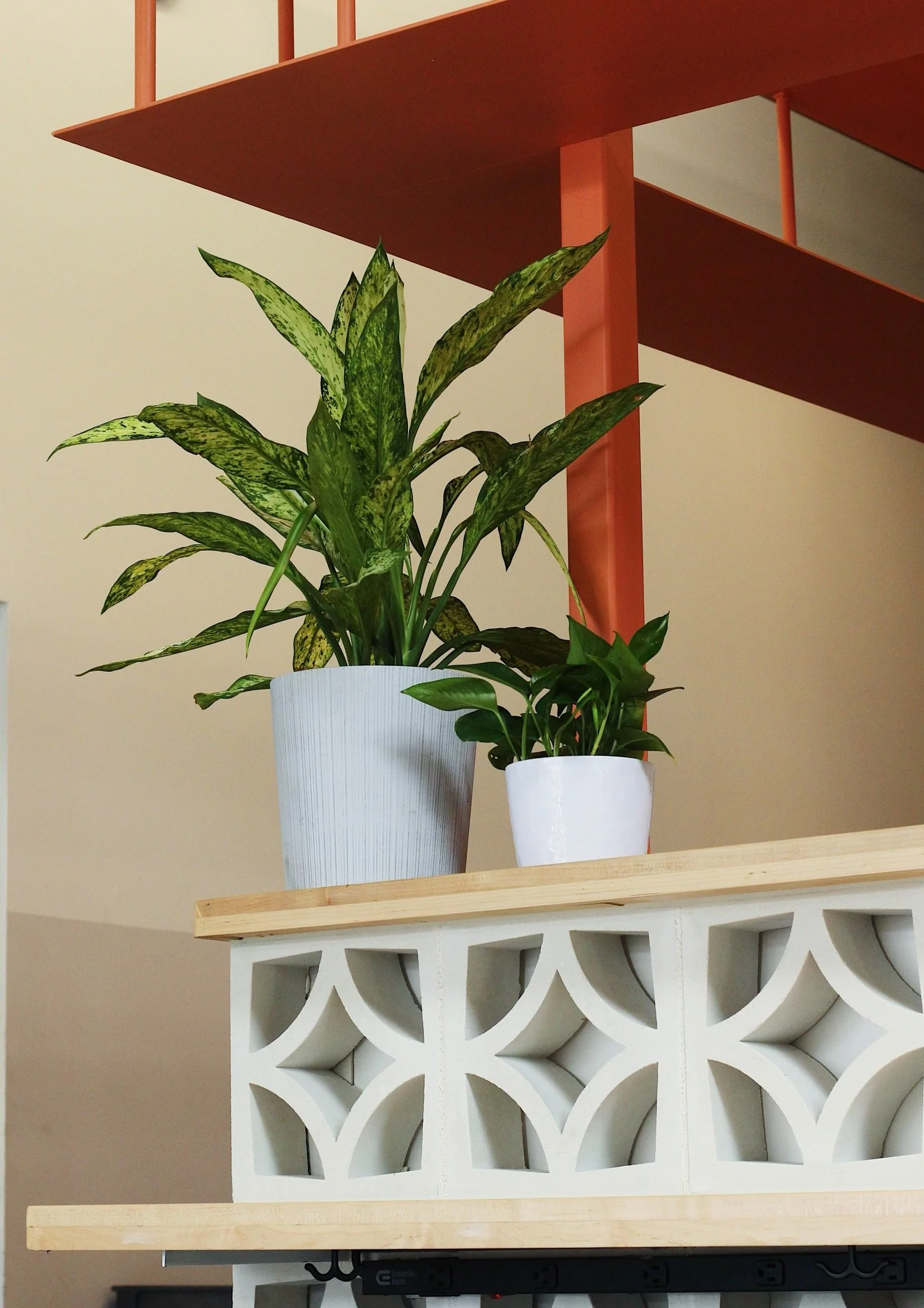 Paper Co. Cafe