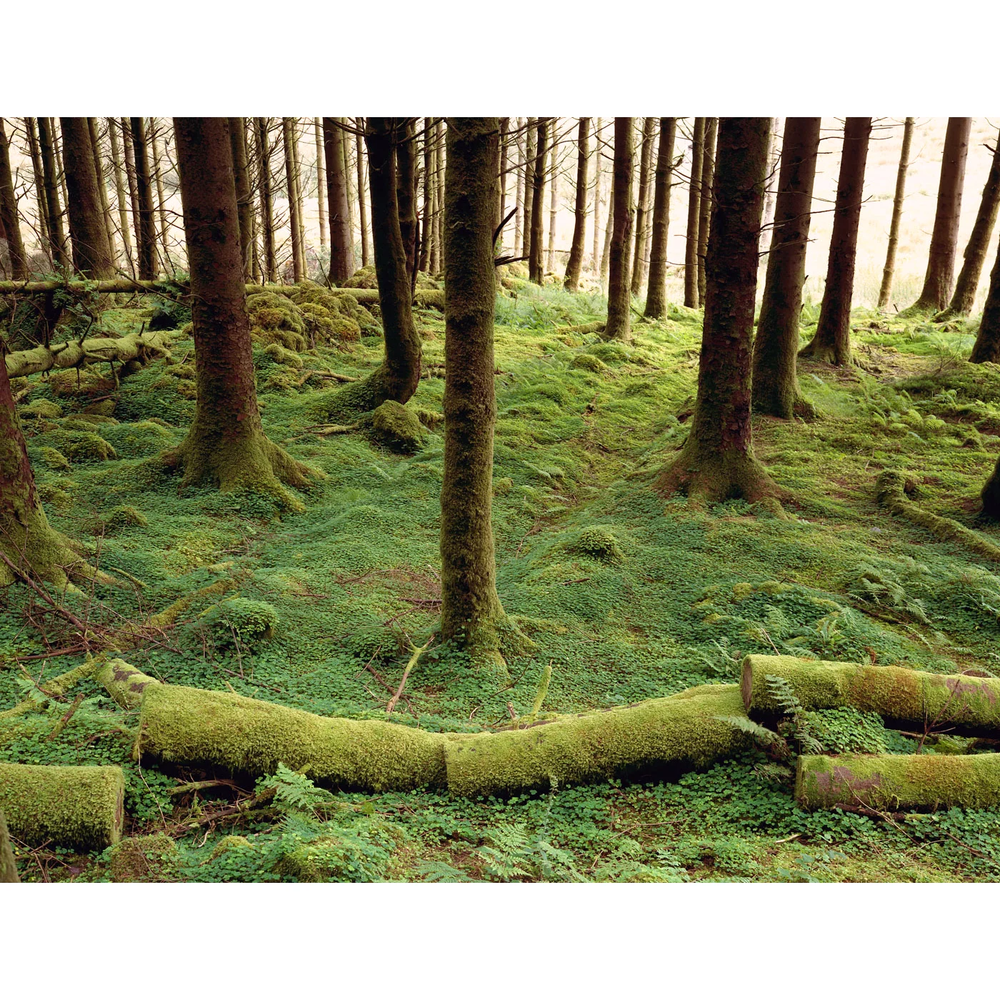 Shop: Landscapes, People, Buildings — Joel Anderson Photography