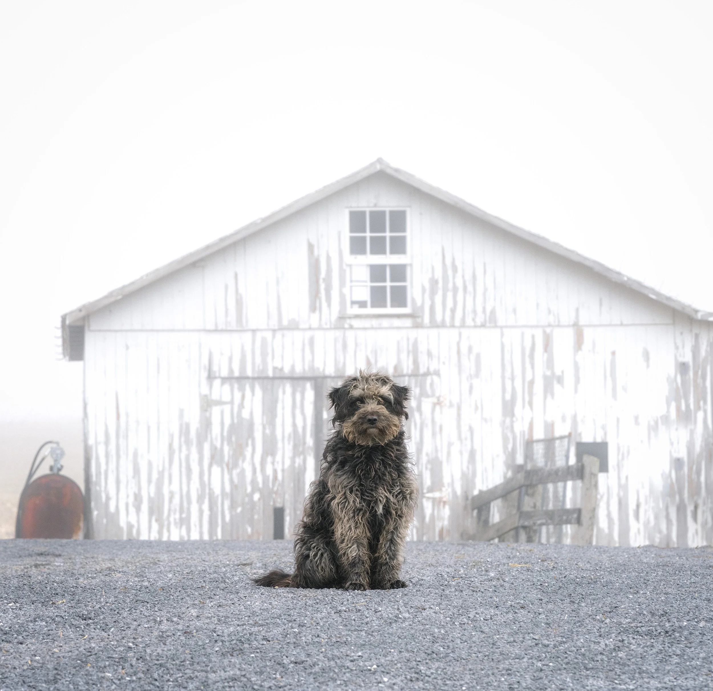 Joel Anderson Photography