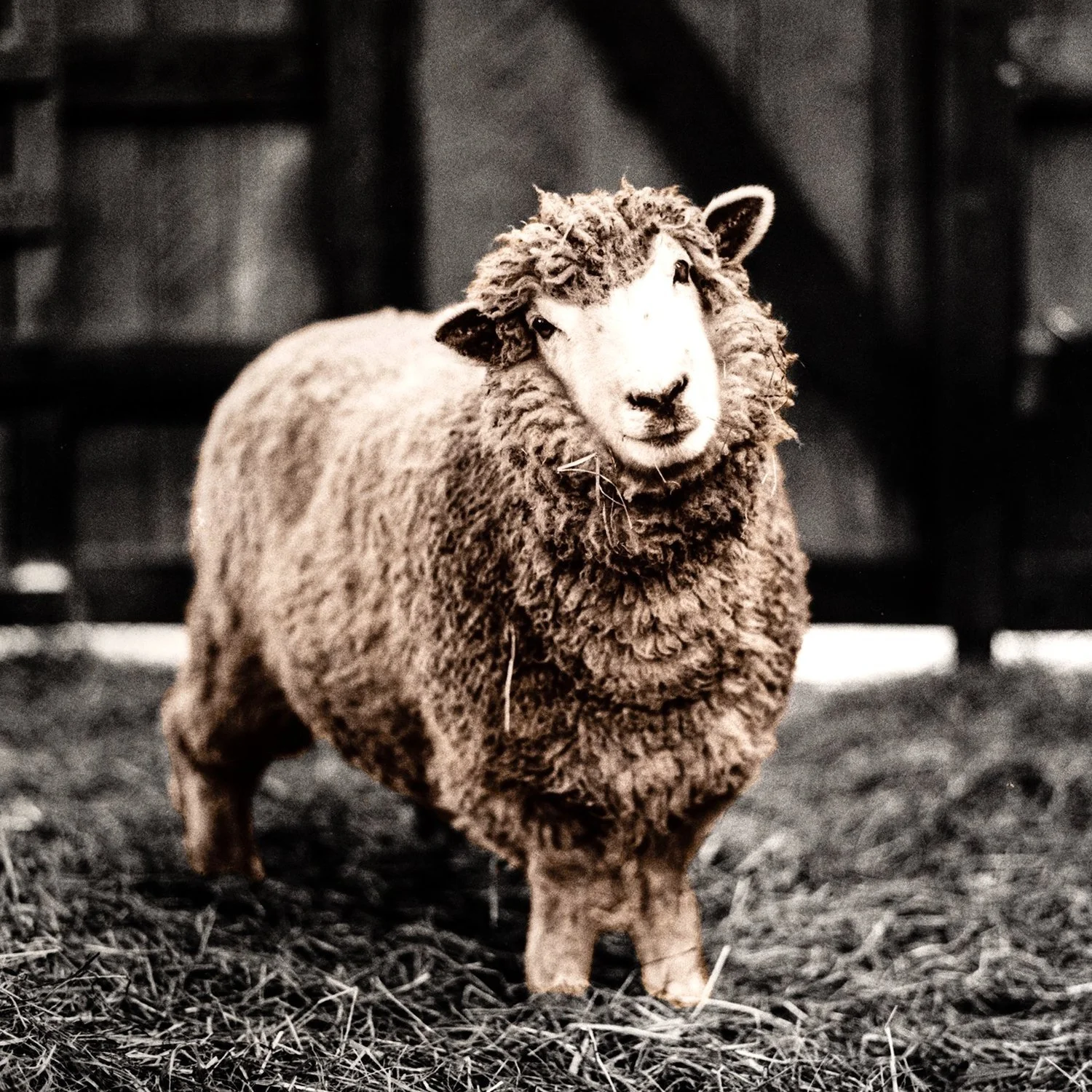 What's New — Joel Anderson Photography