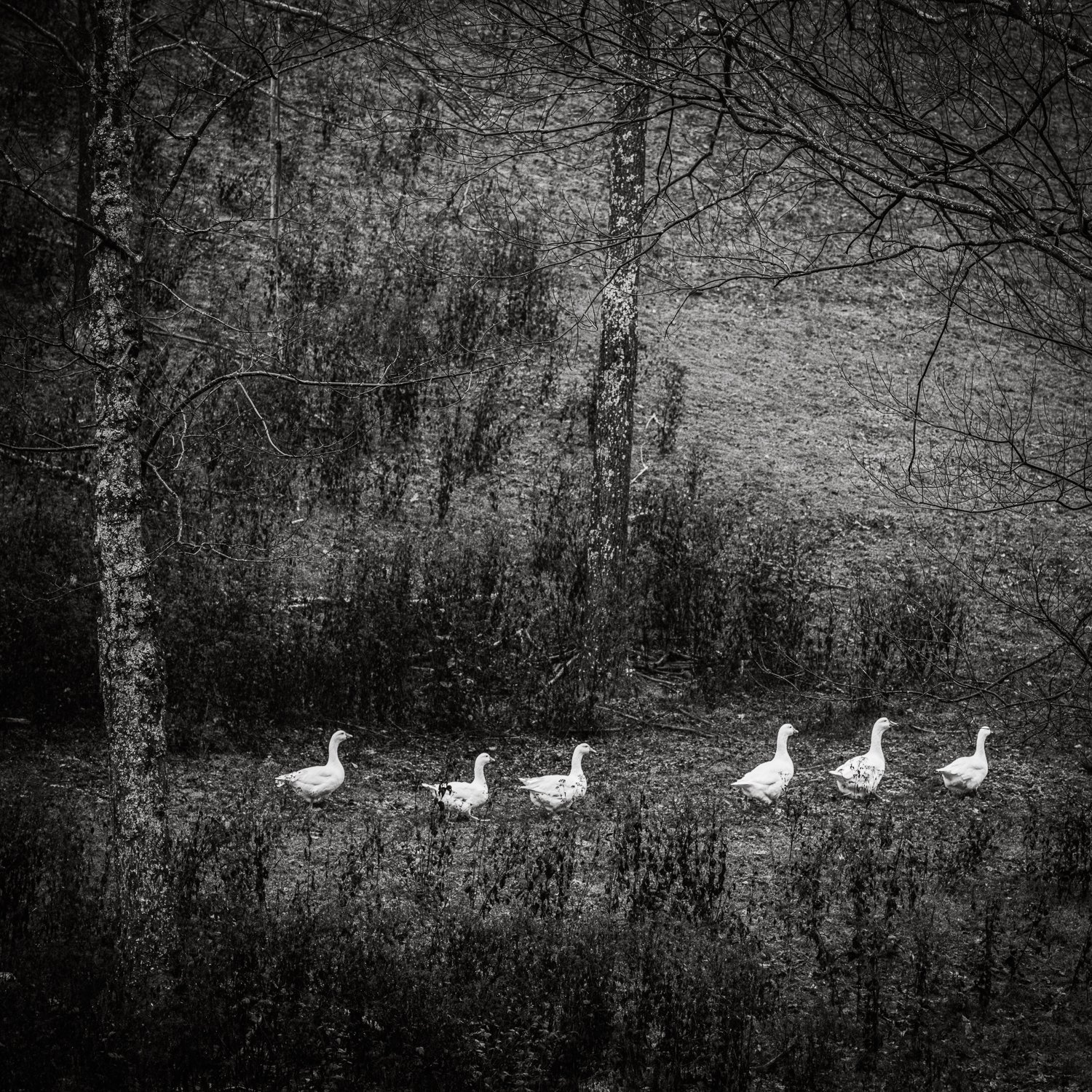 What's New — Joel Anderson Photography