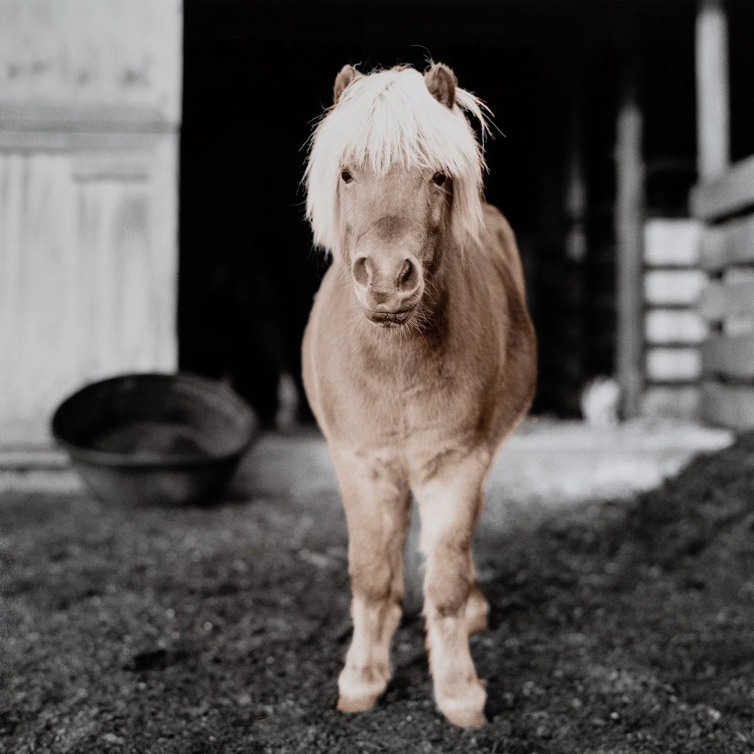 What's New — Joel Anderson Photography