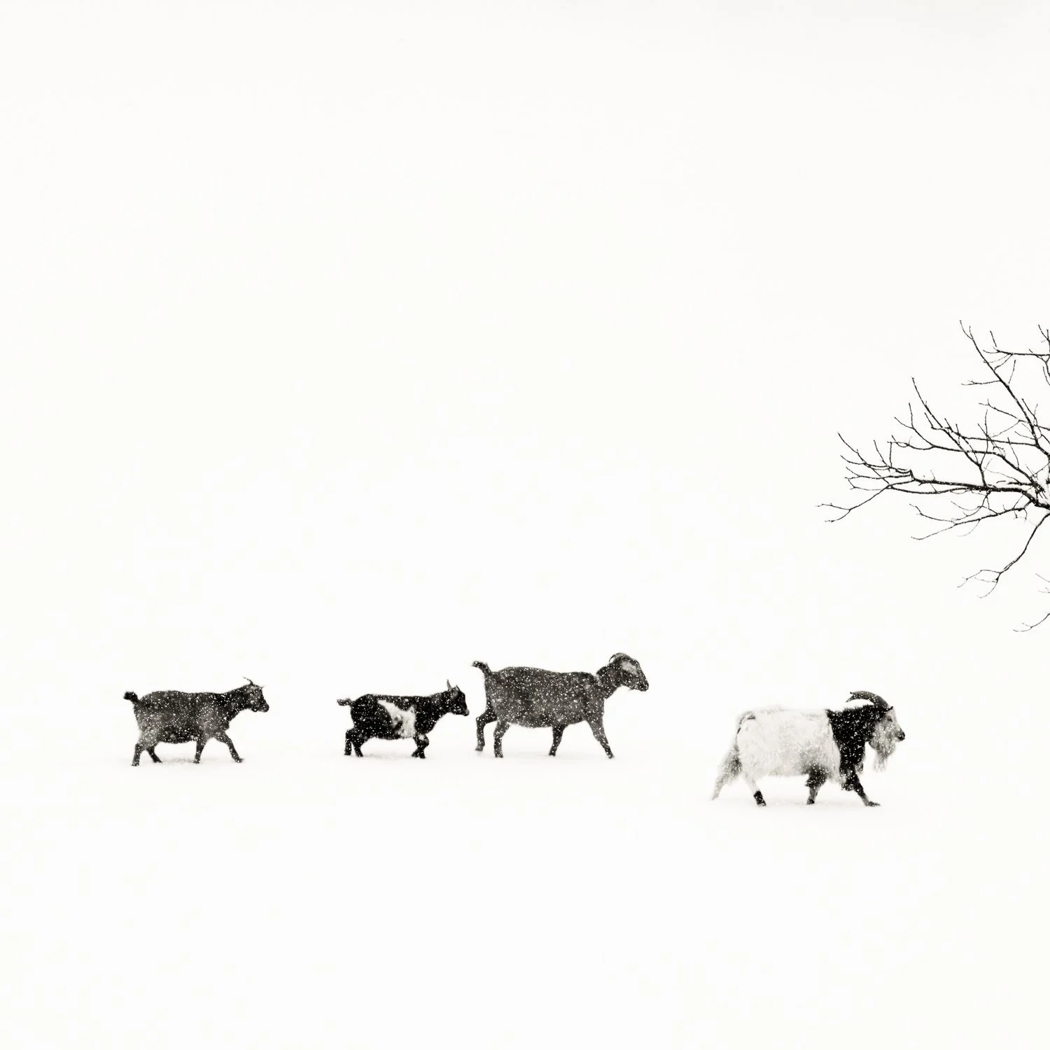 What's New — Joel Anderson Photography