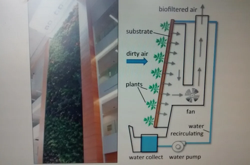 Biowall Benefits to a Lab Ecosystem Labconscious®