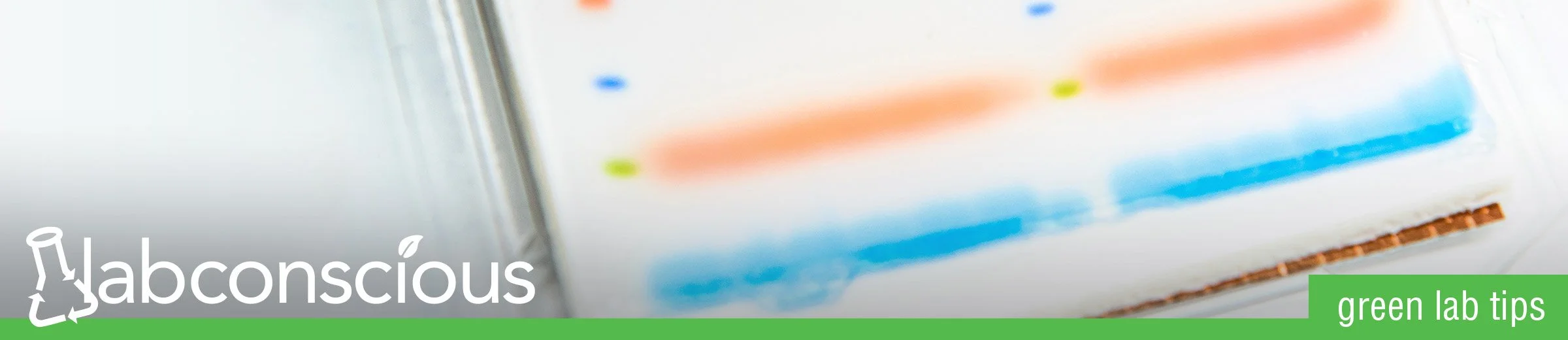 The Pros and Cons of Wet, Semi-dry and Dry Transfer for Western Blots ...