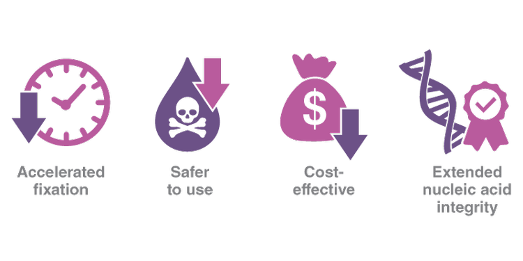 Alcohol-based tissue fixation in place of formaldehyde, that’s the ...