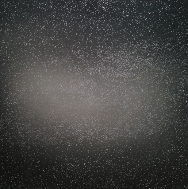 SANDLER HUDSON GALLERY — Alan Caomin Xie