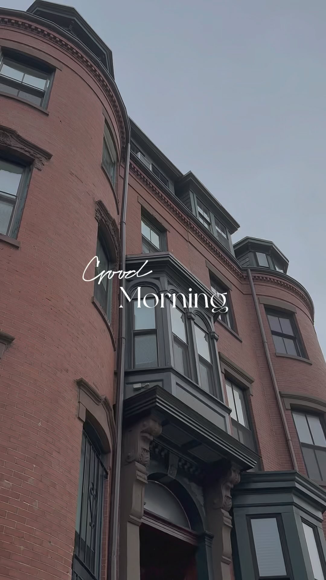 D'Tails Pet Boutique