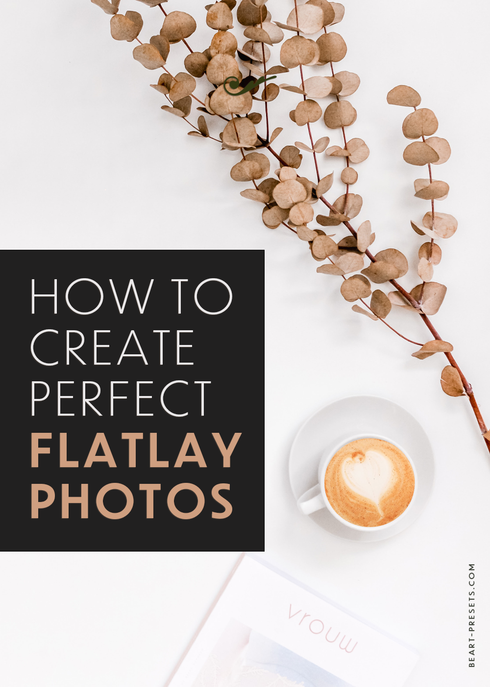 Flatley photography: shooting method, techniques, and ideas