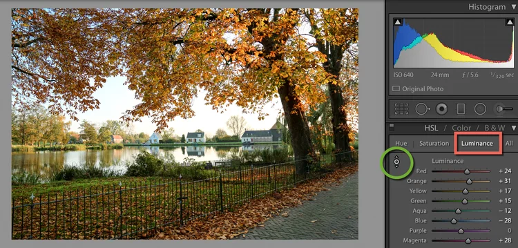 Top 10 Lightroom Secrets You Should Know