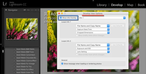 Top 10 Lightroom Secrets You Should Know