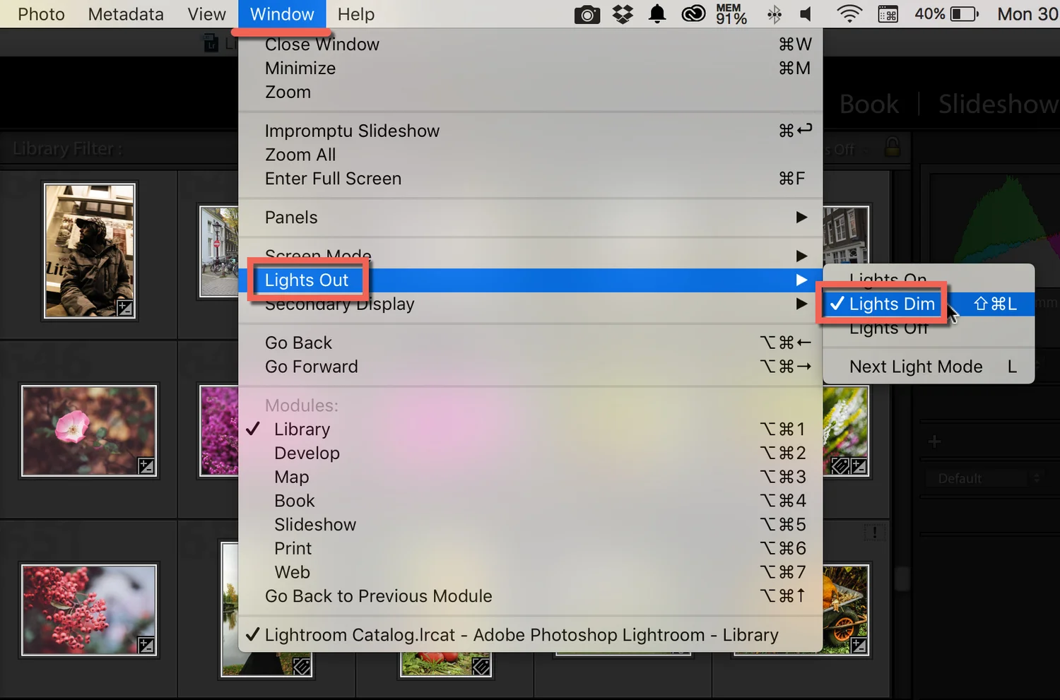 Top 10 Lightroom Secrets You Should Know