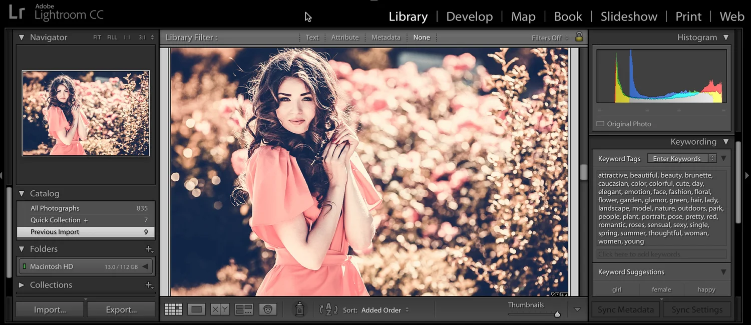 Lightroom vs Photoshop Understanding The Difference
