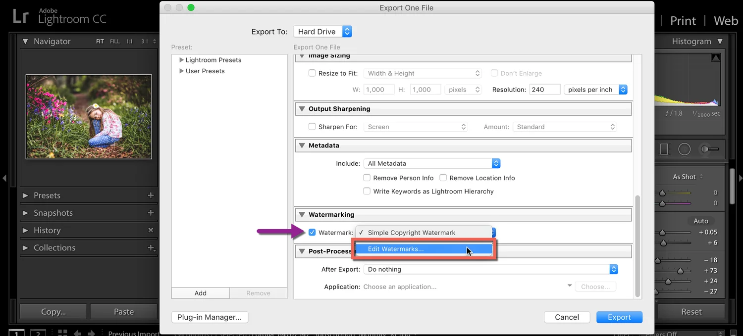How to Watermark Your Photos in Lightroom