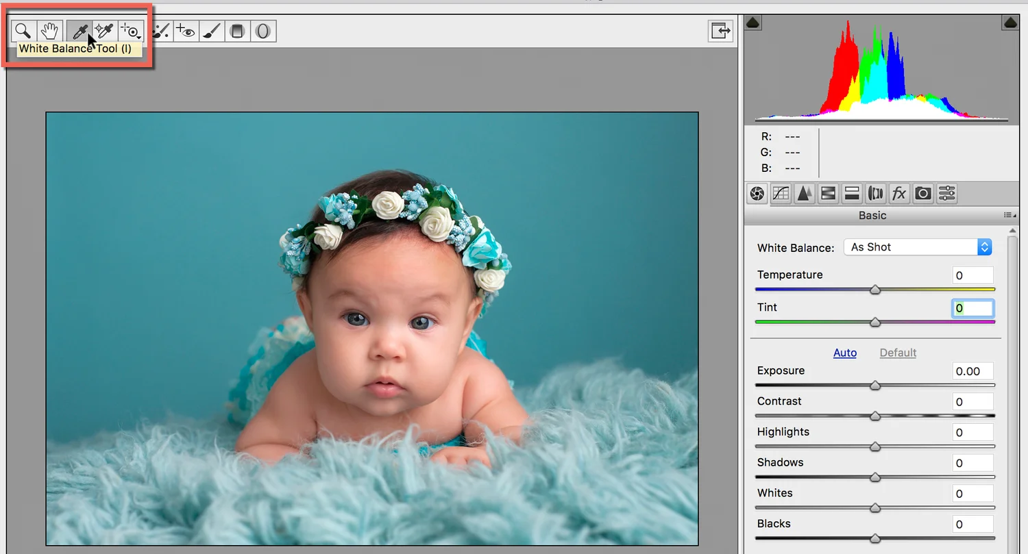 Mastering Camera RAW