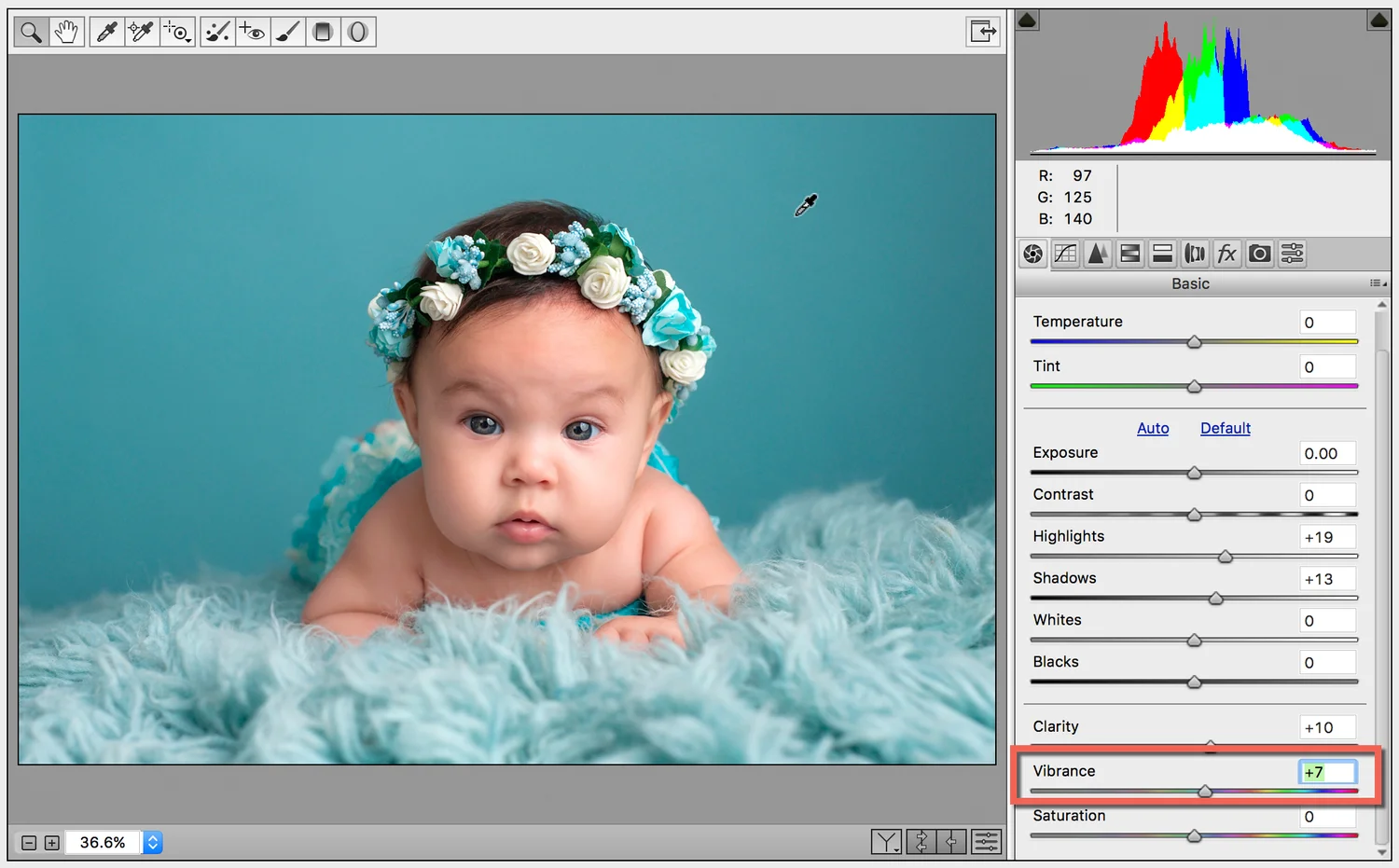Mastering Camera RAW
