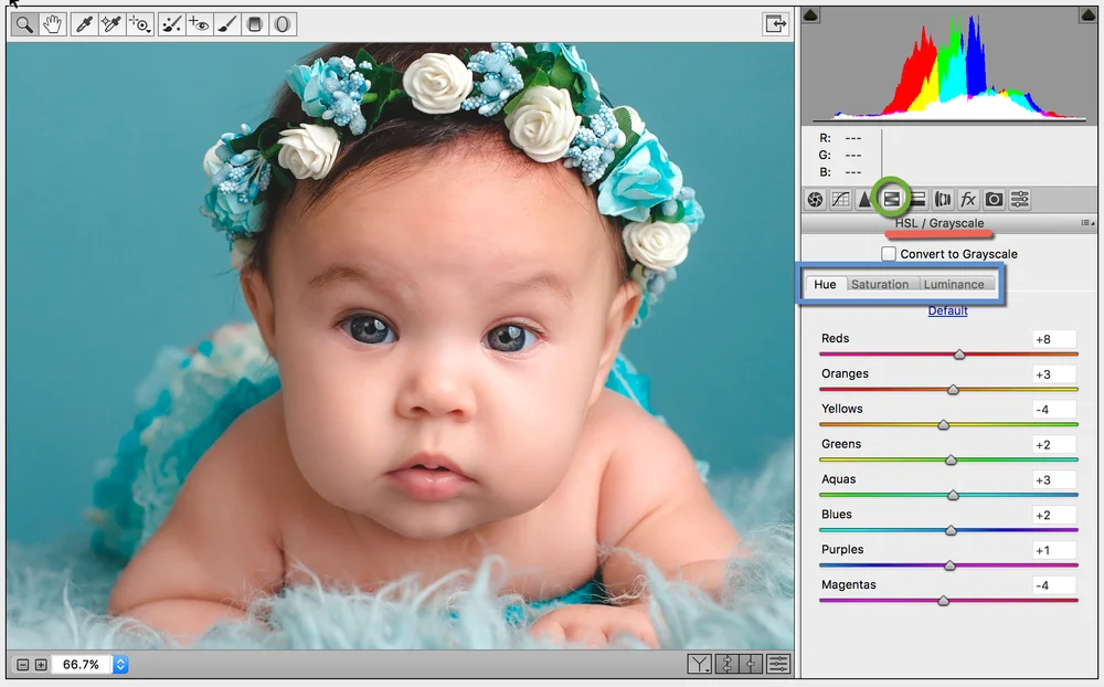 Mastering Camera RAW