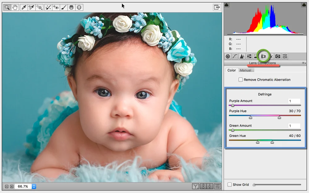 Mastering Camera RAW