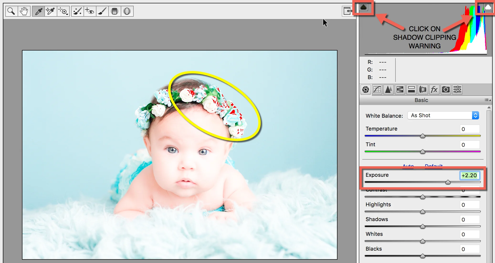 Mastering Camera RAW
