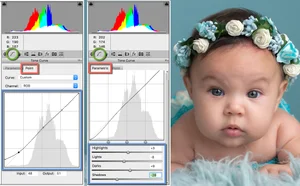 Mastering Camera RAW