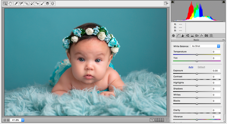 Mastering Camera RAW
