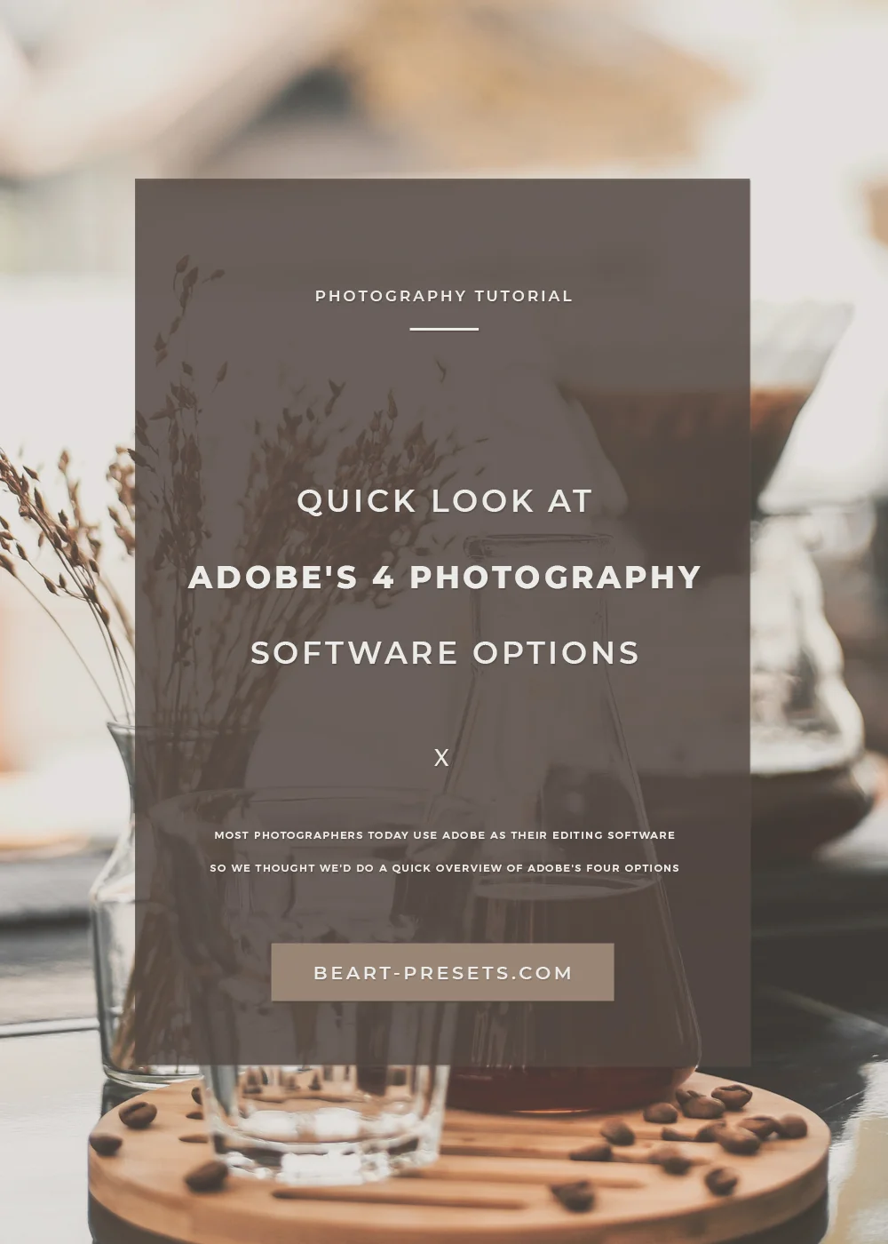 Quick look at Adobe's Four Photography Software Options