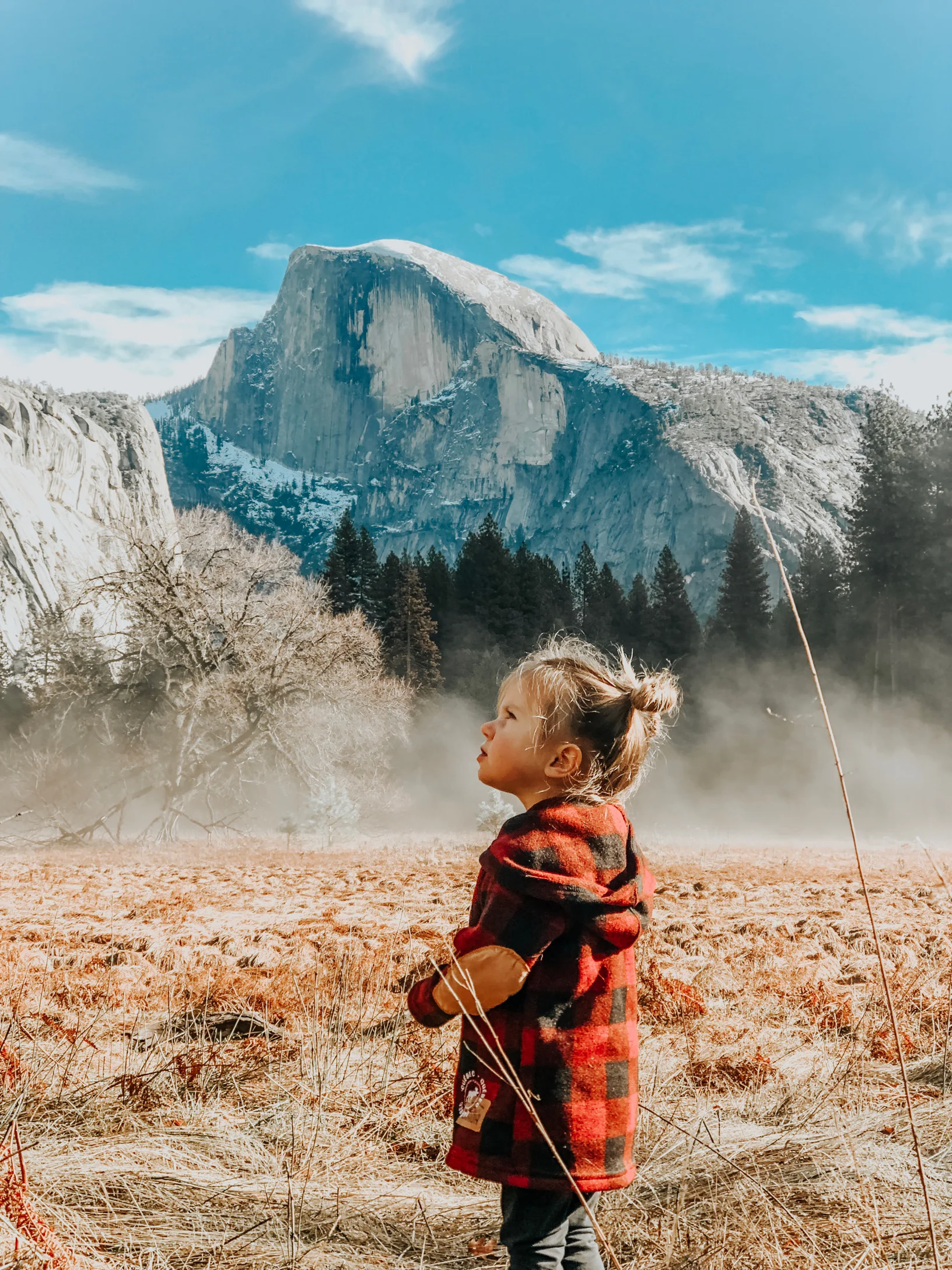 Winning Photos from the "Shot on iPhone" Competition