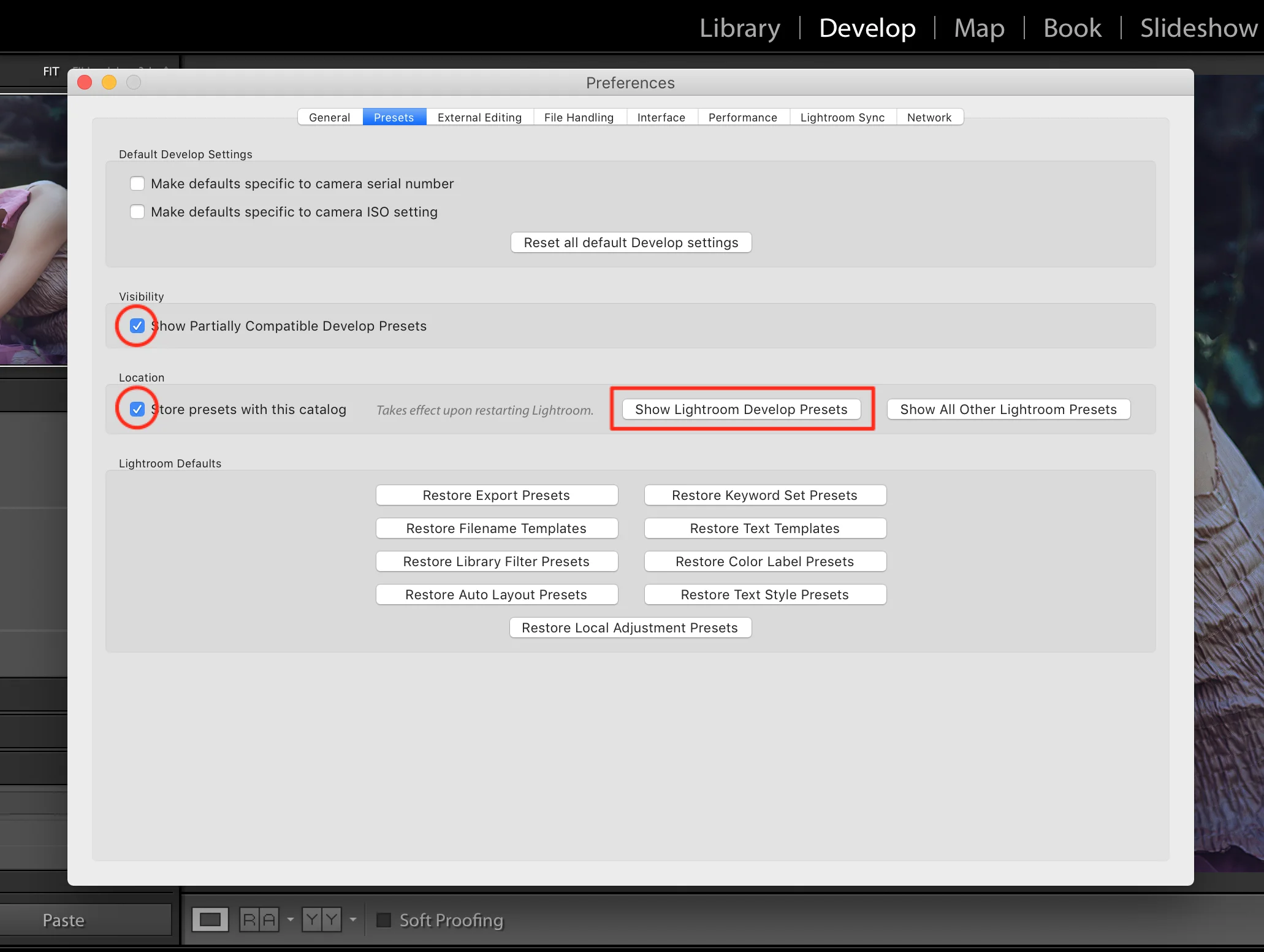 Guide to Installing Lightroom Presets - Lightroom Classic