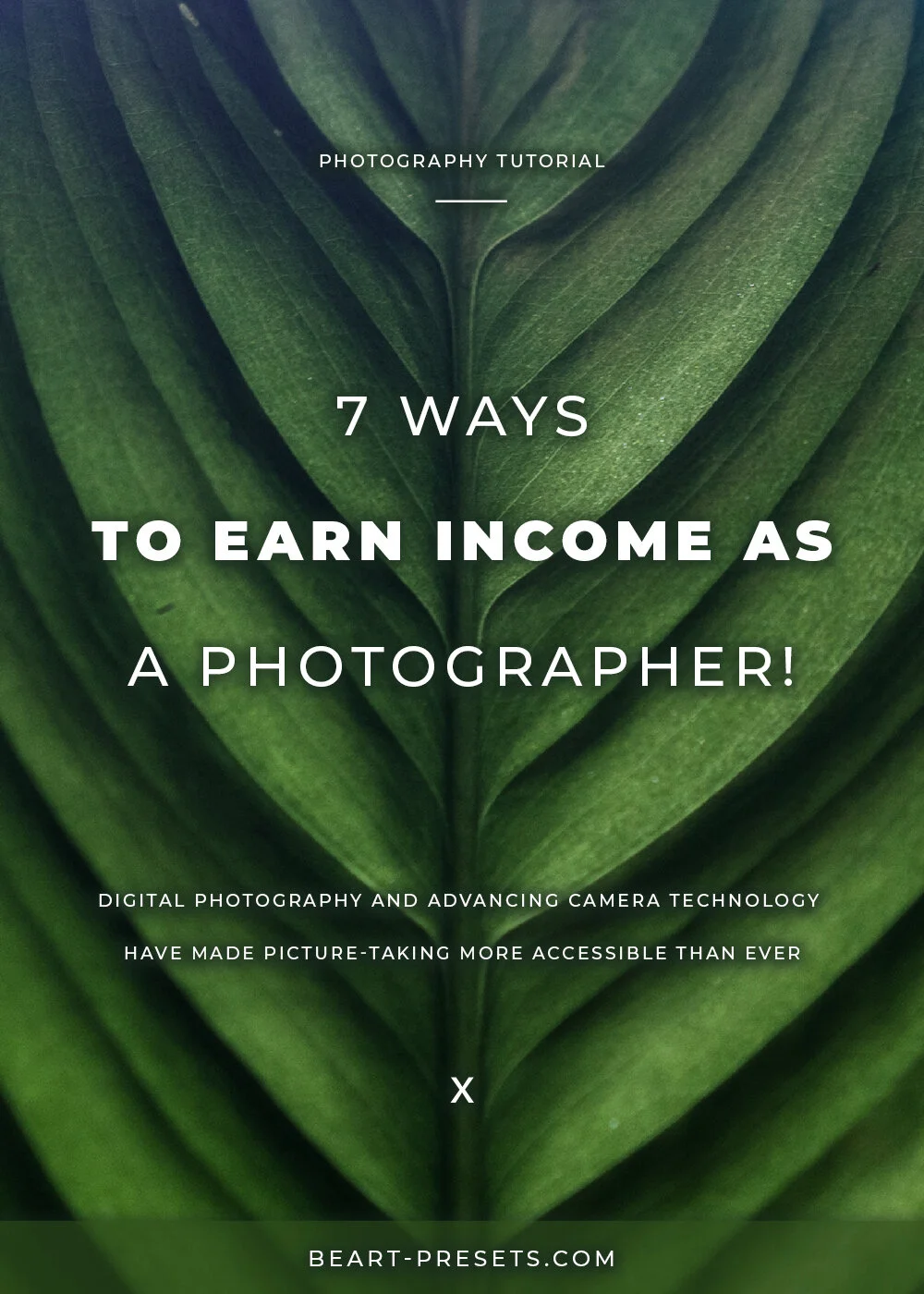 Seven ways to earn income as a photographer!