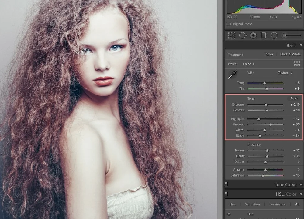 Lightroom Basics for Beginners or a refresher for Experienced Users