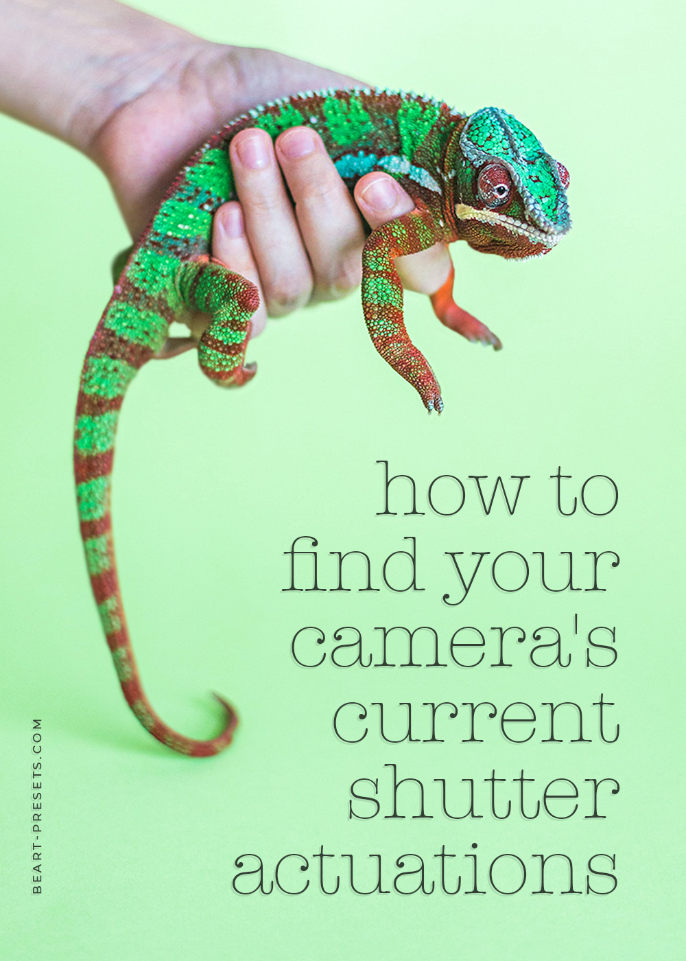 The Best Way To Discover Your Camera's Present Shutter Actuations