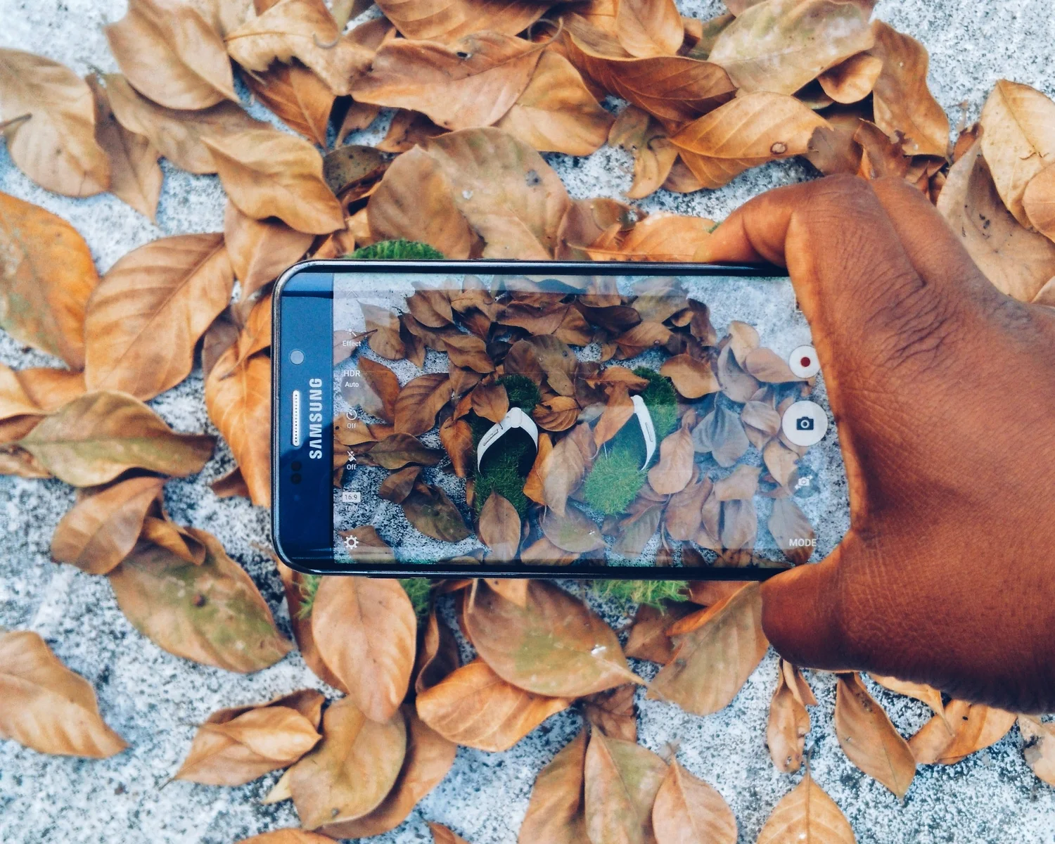 11 Fundamental Principles of Good Mobile Photography